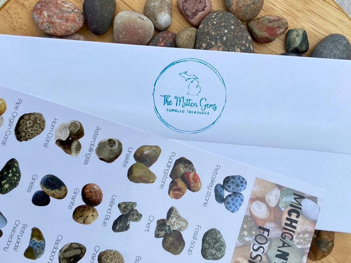 Michigans Rocks and Fossil Identification Card / 4x9 Photo of Rocks ...