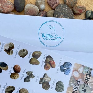 Michigans Rocks and Fossil Identification Card / 4x9 Photo of Rocks ...