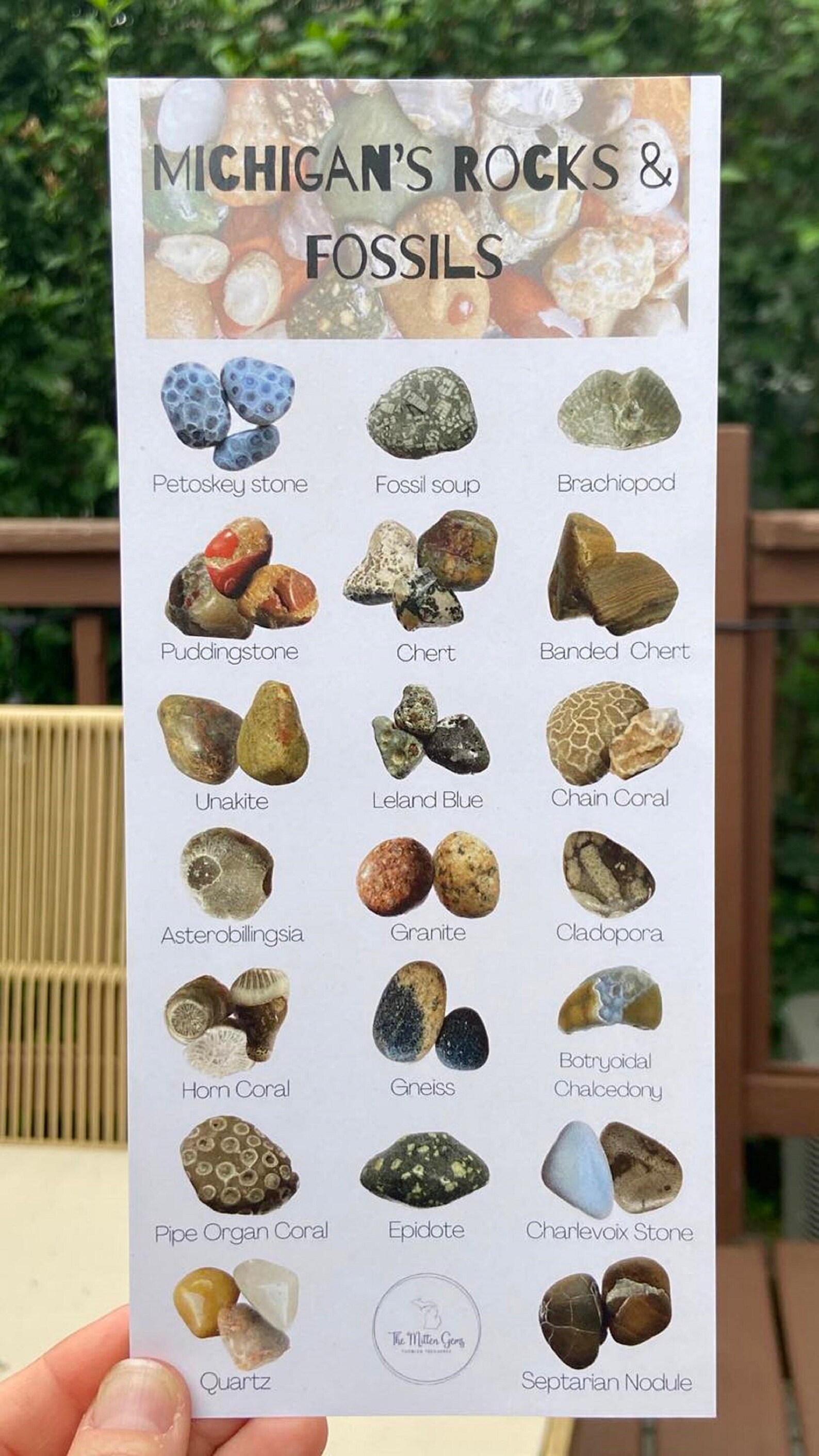 Michigans Rocks and Fossil Identification Card / 4x9 Photo of Rocks ...