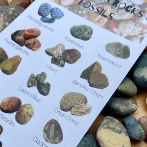 Michigans Rocks and Fossil Identification Card / 4x9 Photo of Rocks ...