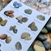 Michigans Rocks and Fossil Identification Card / 4x9 Photo of Rocks ...