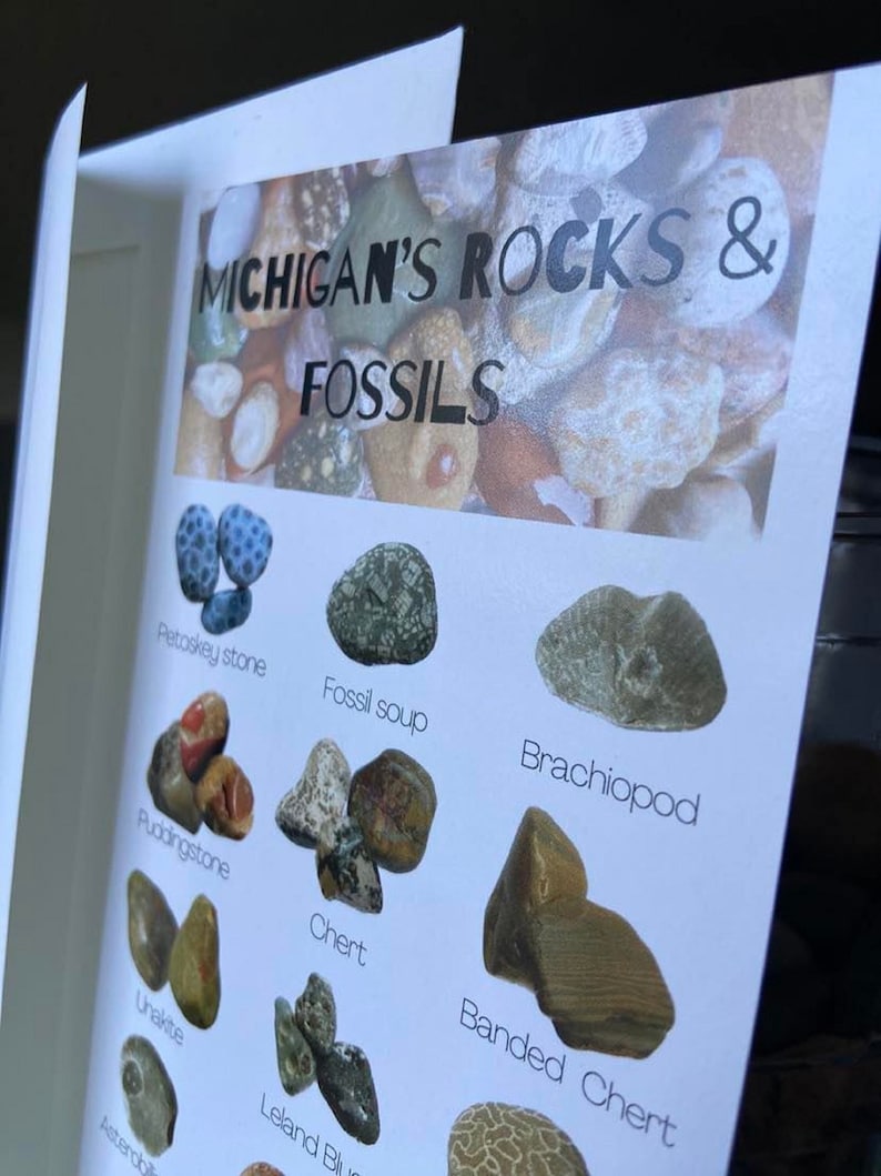 Michigans Rocks and Fossil Identification Card / 4x9 Photo of - Etsy