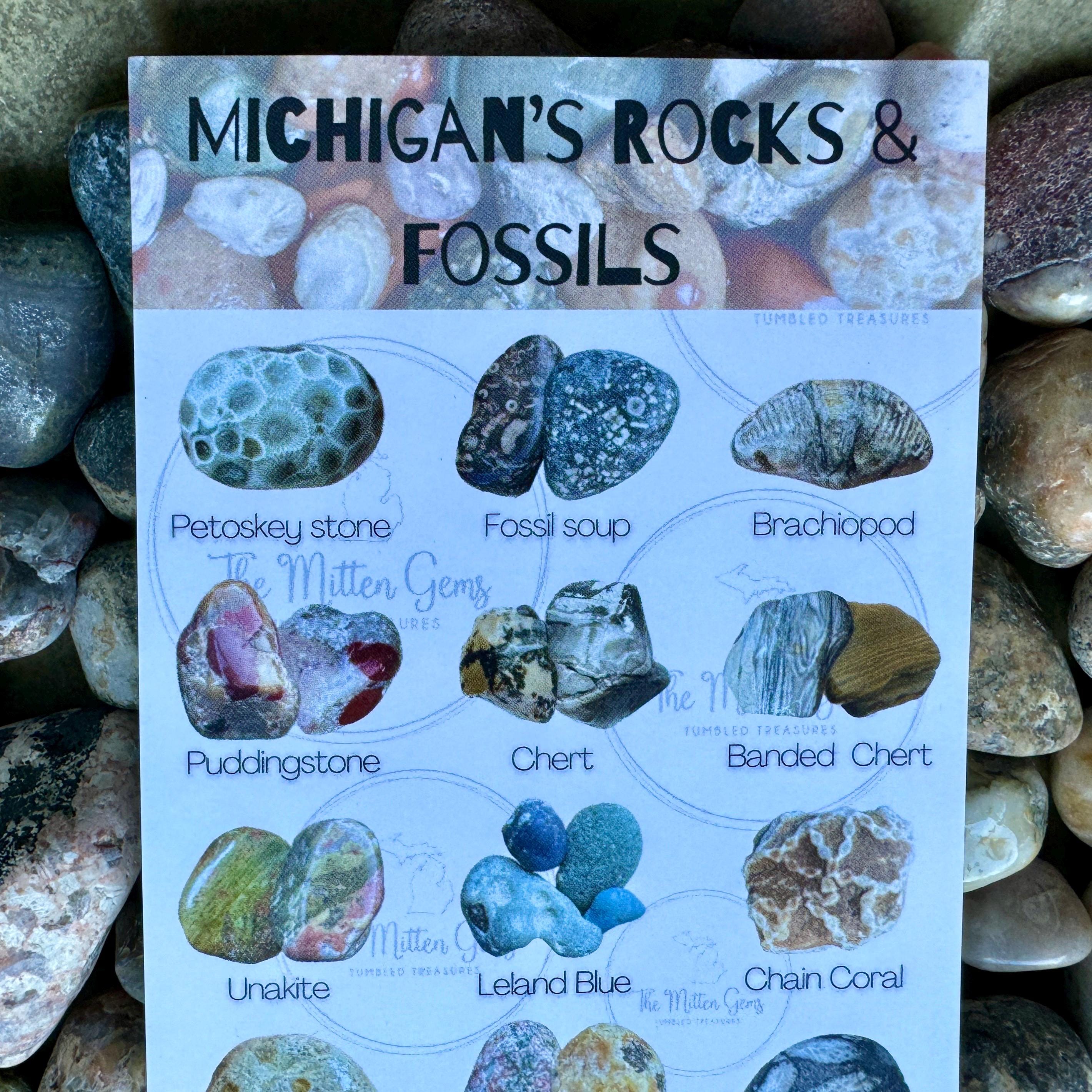 Michigan’s Rocks and Fossil Identification Card / 4x9 Photo of Rocks ...