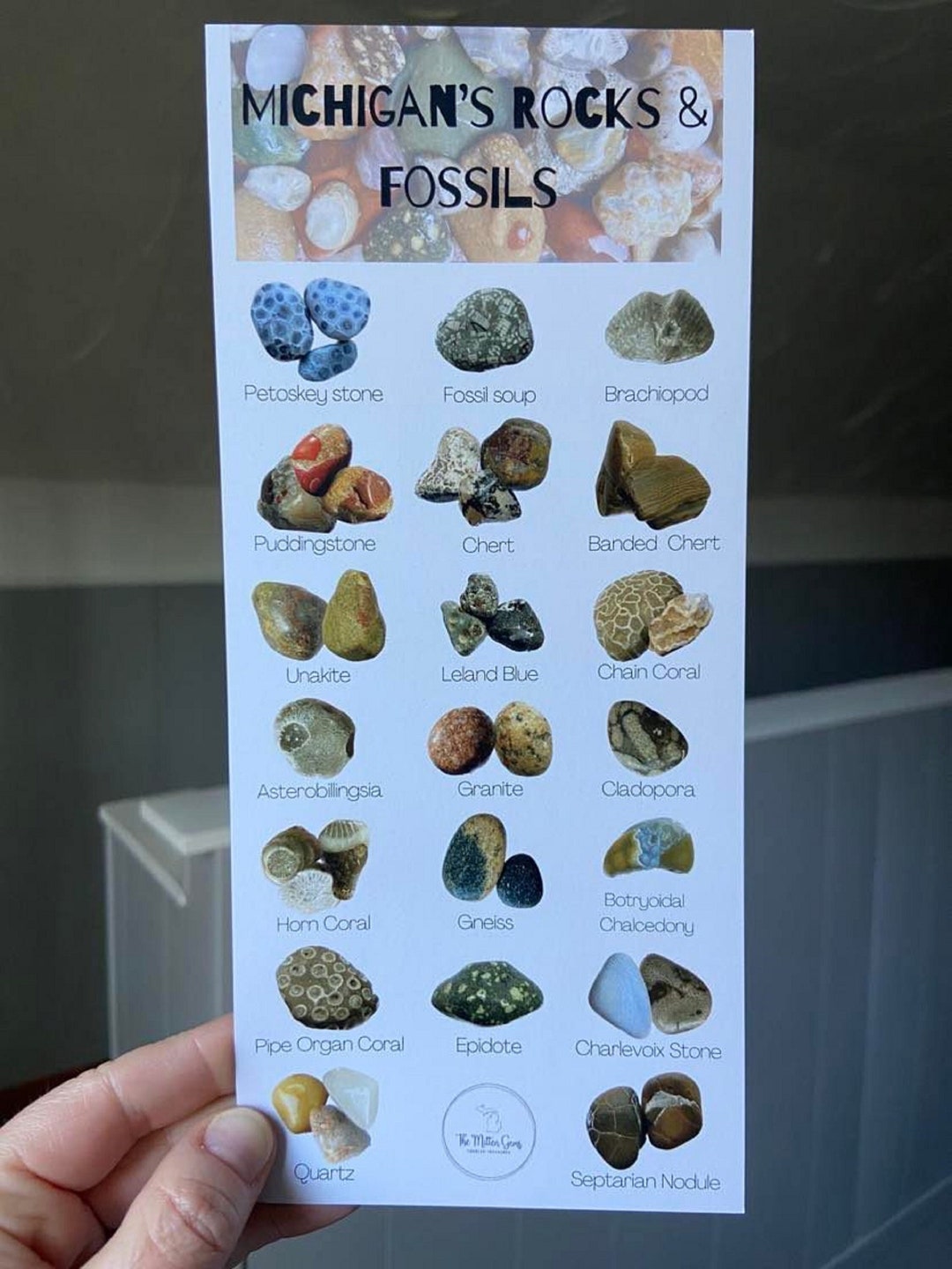 Michigans Rocks and Fossil Identification Card / 4x9 Photo of - Etsy