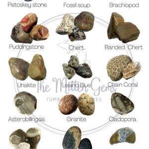 Michigans Rocks and Fossil Identification Card / 4x9 Photo of Rocks & Minerals / Rock Collection ...