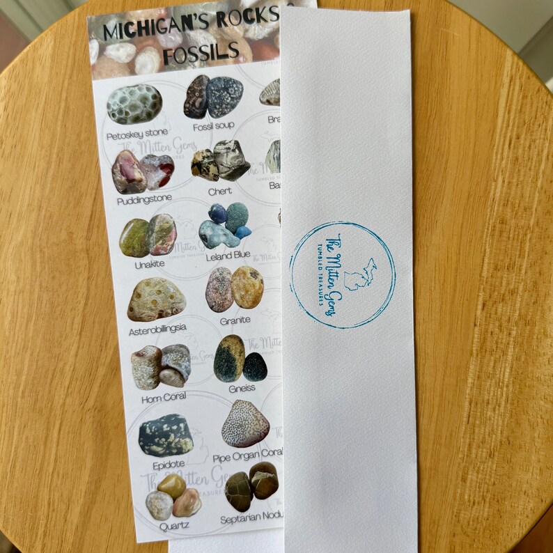 Michigan’s Rocks and Fossil Identification Card / 4x9 Photo of Rocks ...