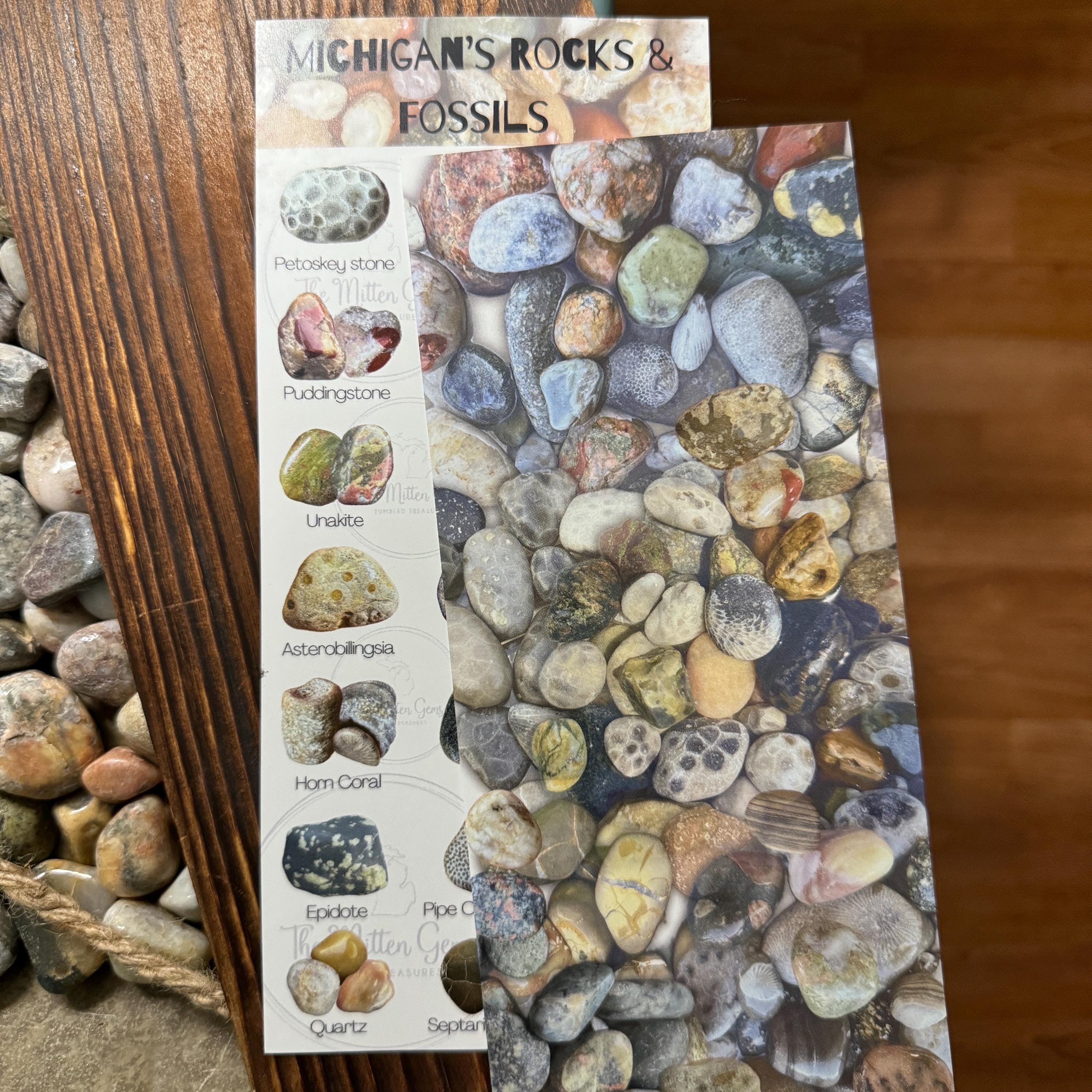 Michigan’s Rocks and Fossil Identification Card / 4x9 Photo of Rocks ...