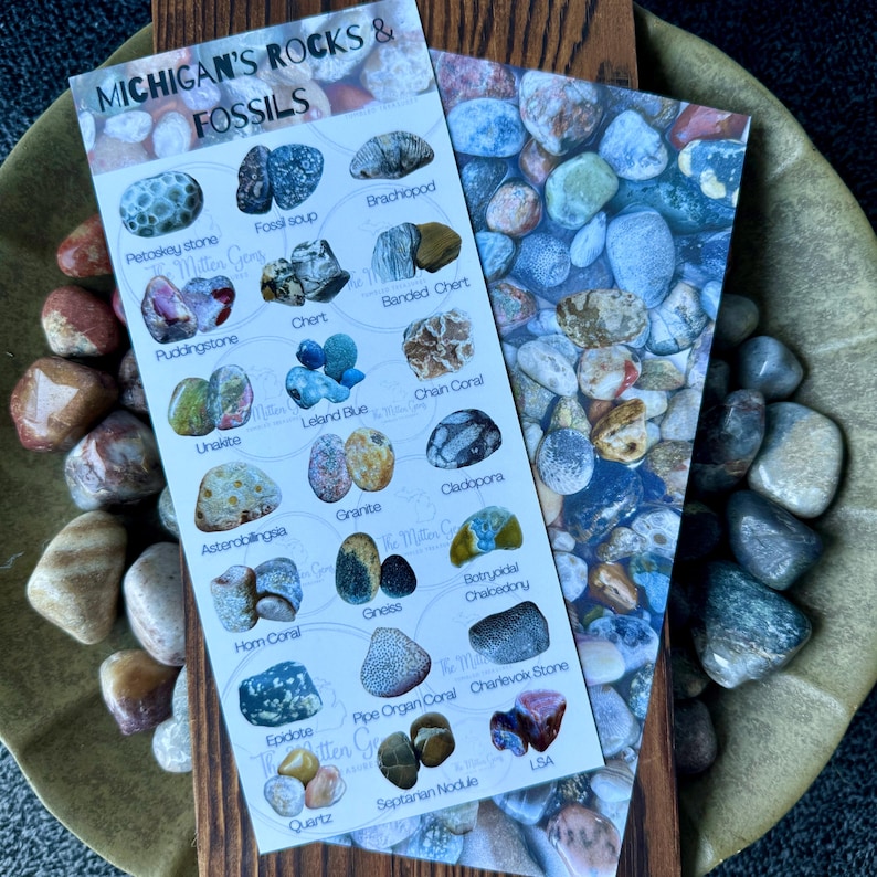 Michigan’s Rocks and Fossil Identification Card / 4x9 Photo of Rocks ...