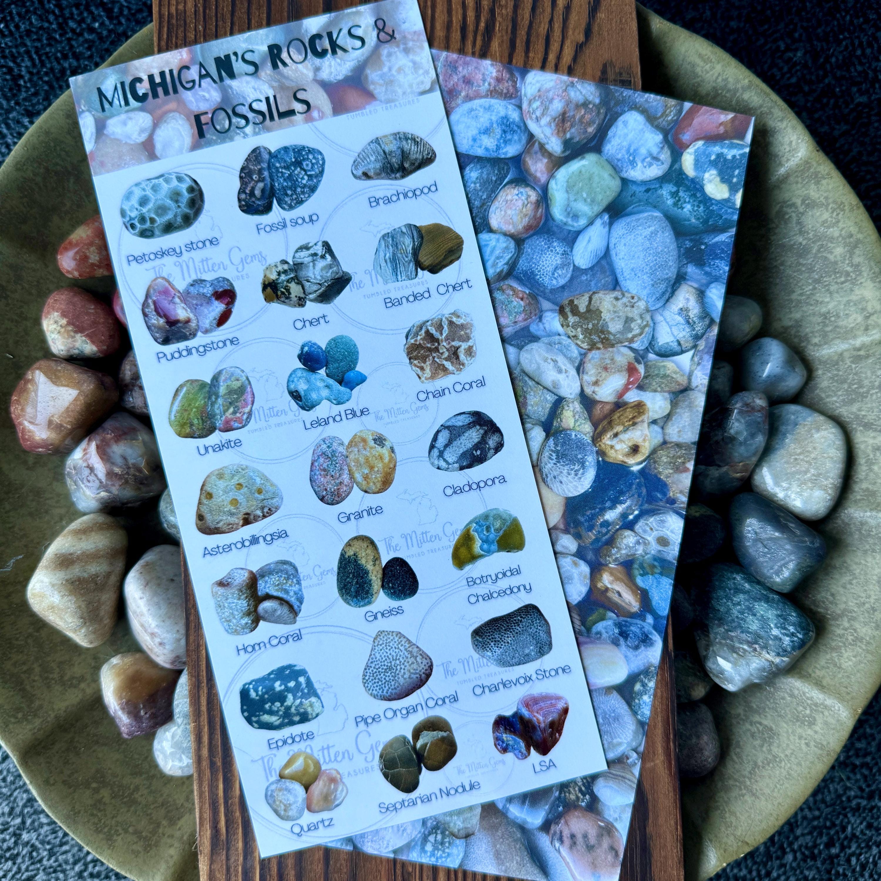 Michigan’s Rocks and Fossil Identification Card / 4x9 Photo of Rocks ...