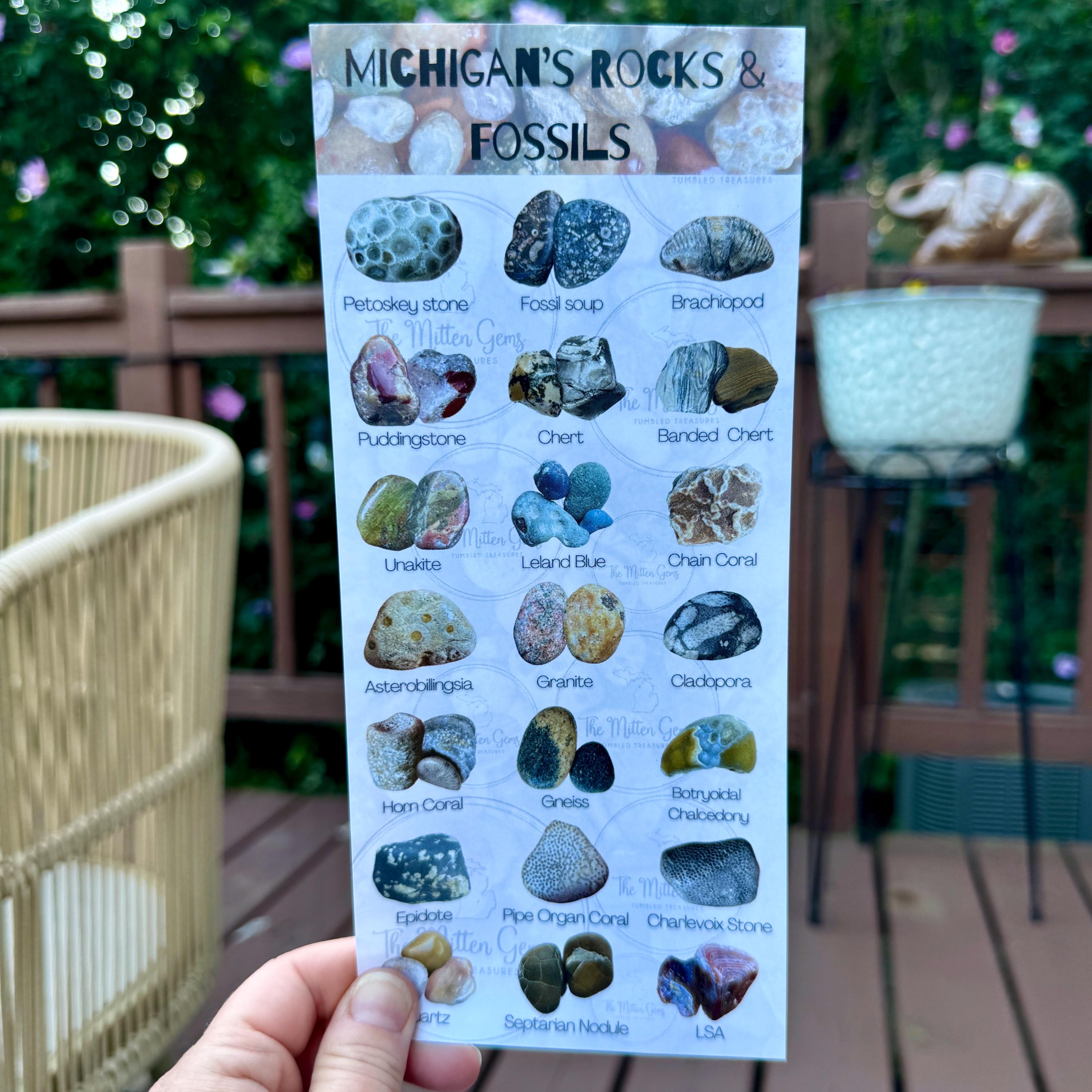 Michigan’s Rocks and Fossil Identification Card / 4x9 Photo of Rocks & Minerals / Rock ...