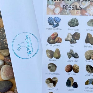Michigans Rocks and Fossil Identification Card / 4x9 Photo of Rocks & Minerals / Rock Collection ...