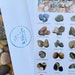 Michigans Rocks and Fossil Identification Card / 4x9 Photo of Rocks ...