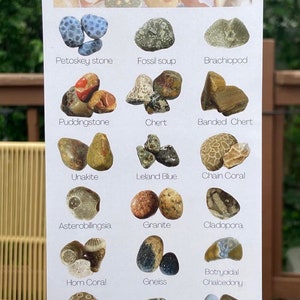 Michigans Rocks and Fossil Identification Card / 4x9 Photo of - Etsy