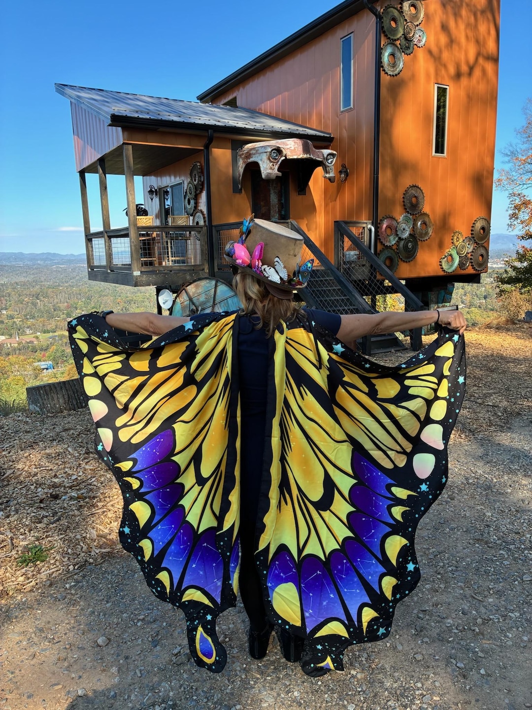 Swallowtail: Yellow, Blue, Orange, Adult Costume Butterfly, Pollinator ...