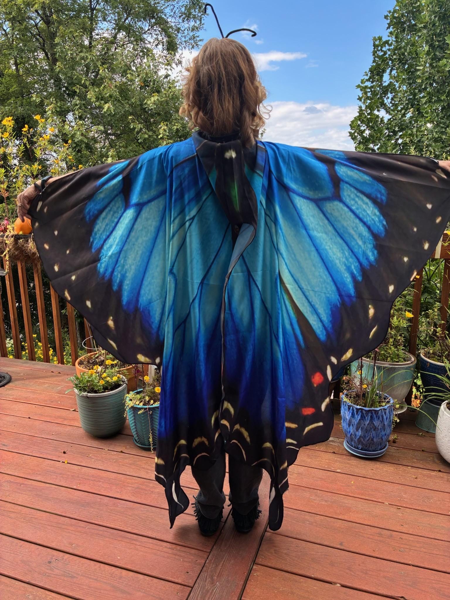 Swallowtail: Yellow, Blue, Orange, Adult Costume Butterfly, Pollinator ...