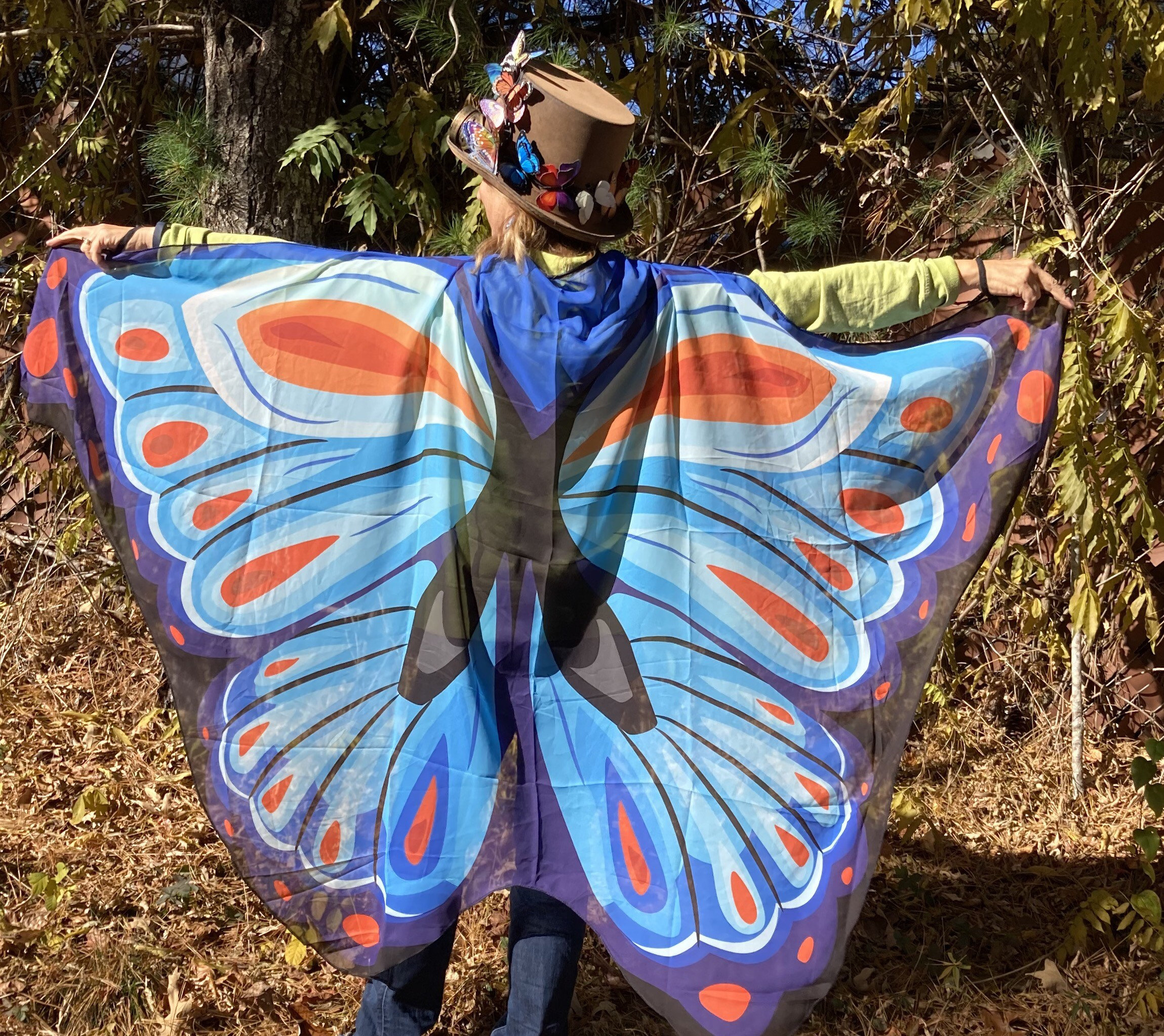 Blue Butterfly Wings Costume