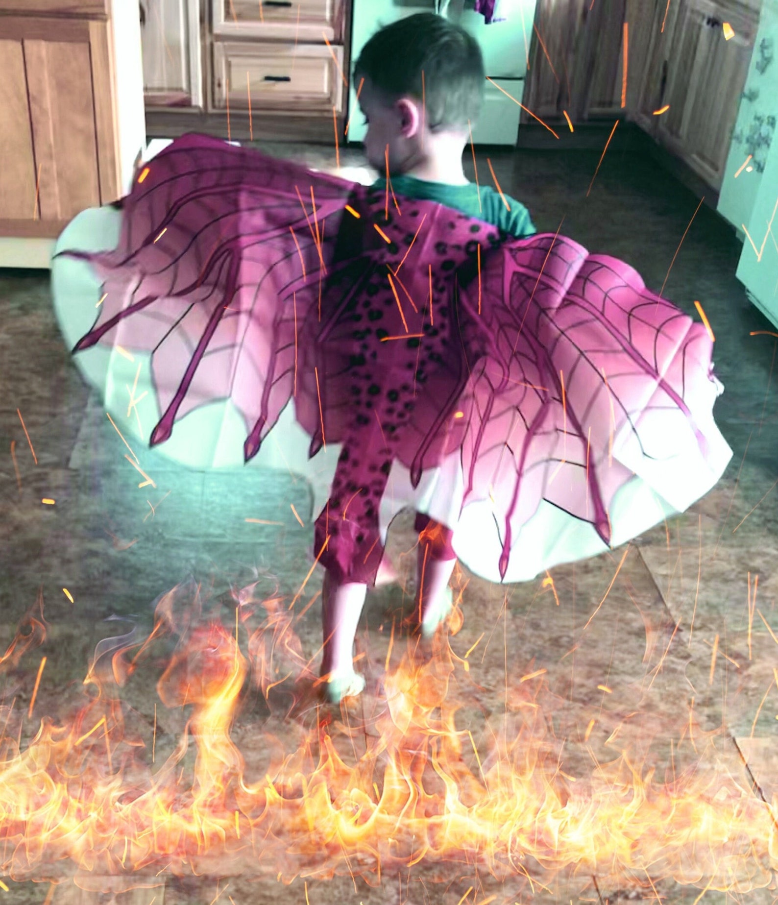 Dragon Blue Jay Wings Bird Wings 43 Inch Kid Toy Fly - Etsy