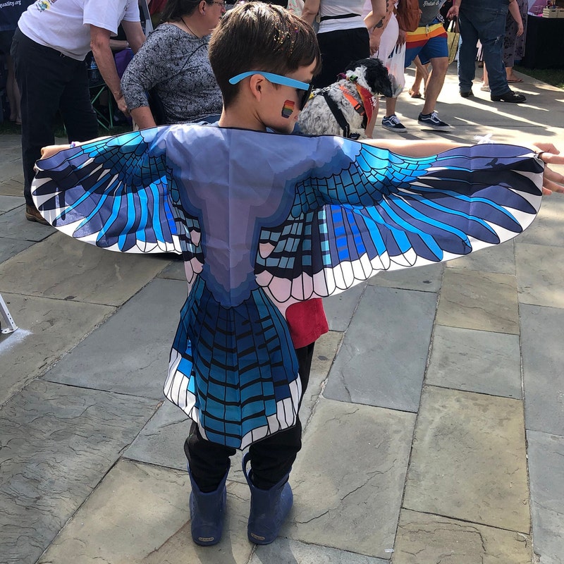 Blue Jay Suit - Etsy