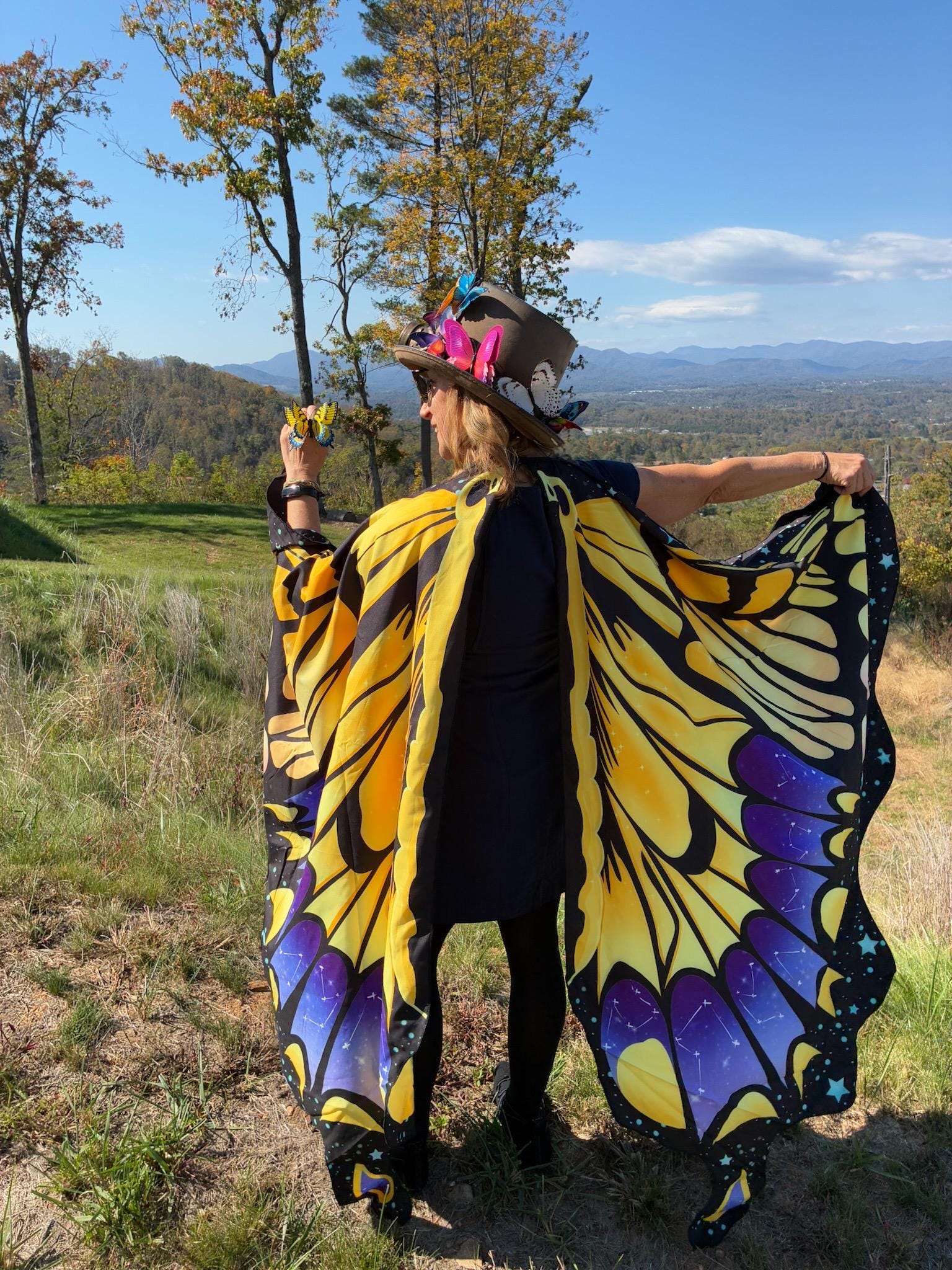 Swallowtail: Yellow, Blue, Orange, Adult Costume Butterfly, Pollinator ...