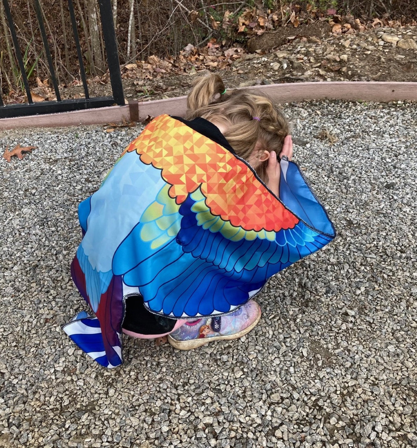 Blue Jay Bird Wings Dragon Kid Toy Fly Wings Boy Fun - Etsy