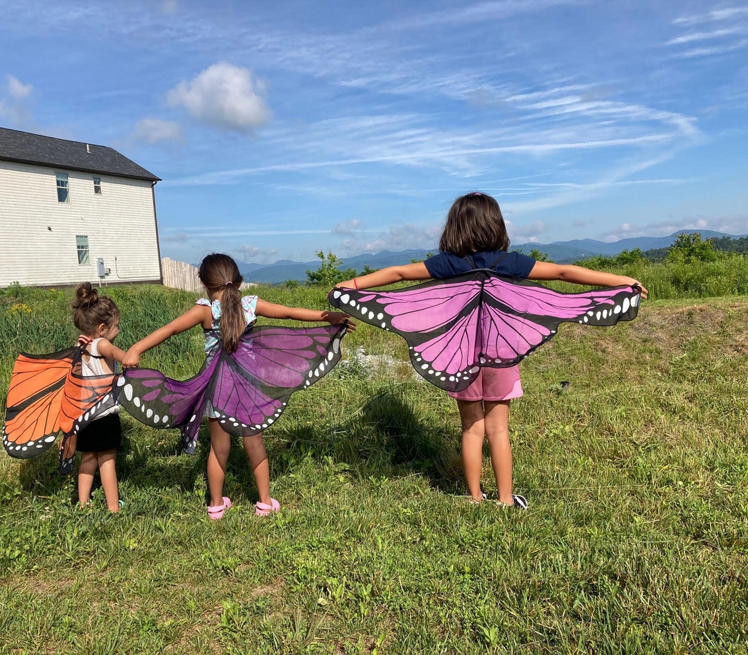 Mini Butterfly Wings: Preschool or Petite Costume With Wrist Loops ...