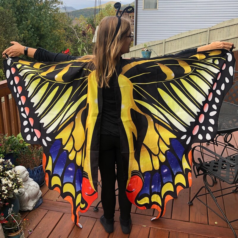 ButterflyFlightShop - Etsy