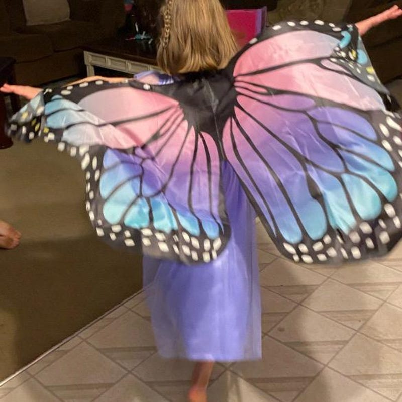 Girls Colorful Fairy Wings - Etsy