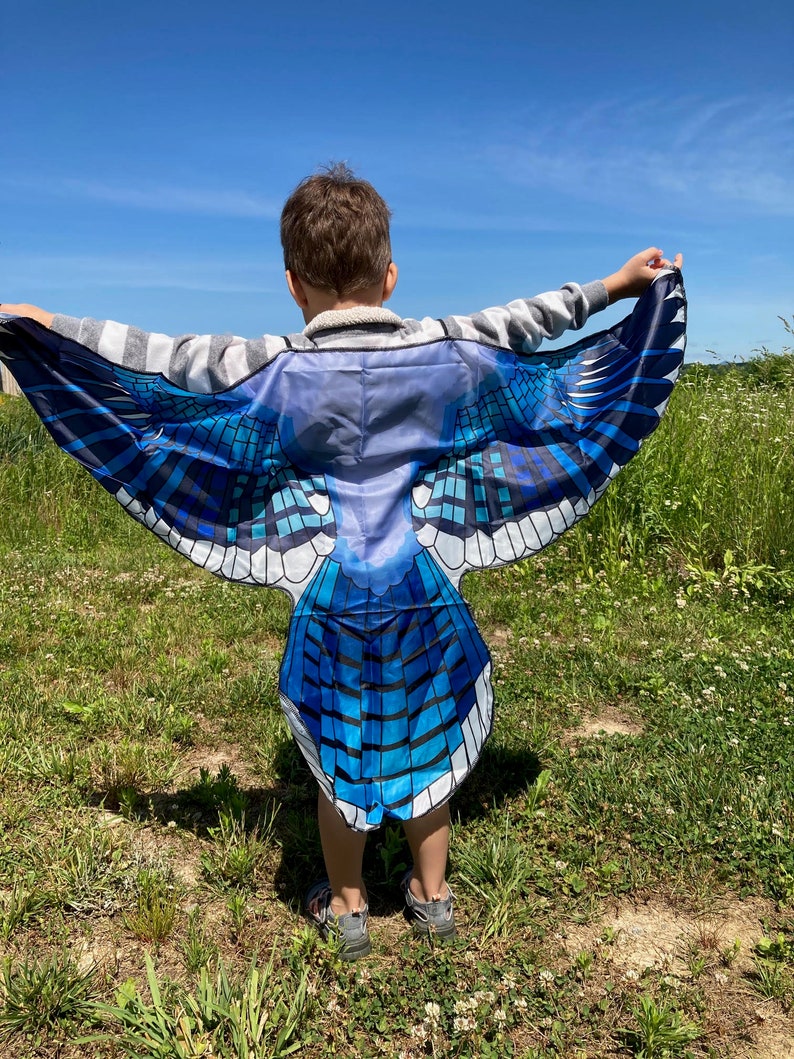Blue Jay Bird Wings Dragon Kid Toy Fly Wings Boy Fun - Etsy