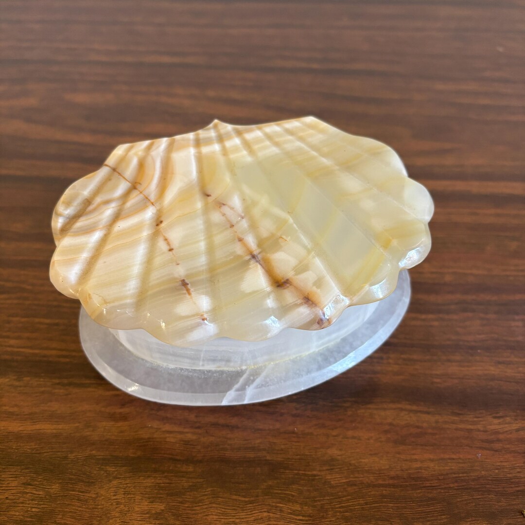 Vintage Carved Marble Clamshell Box, Coastal Trinket Dish - Etsy