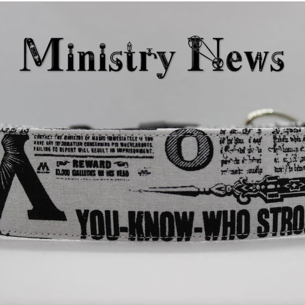 Ministry of Magic - Etsy