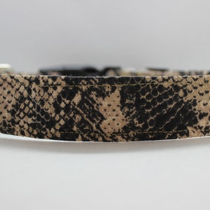 Dog Snake Collar Cat Snakeskin Dog Collar Animal Print Cat Collar ...