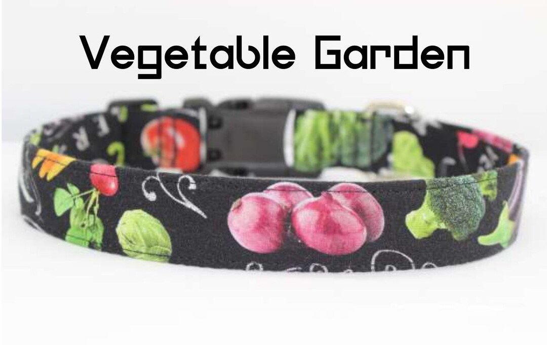 Vegetable Garden- Veggie, Produce Dog Collar, Garden Food Farm Dog ...