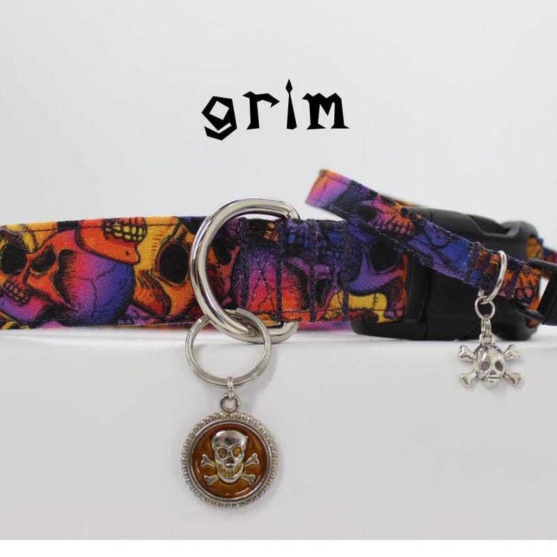 Skull Dog Collar - Etsy