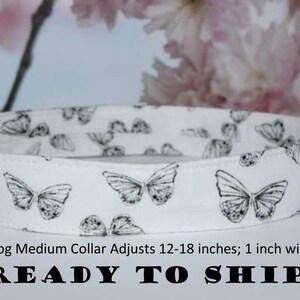 White & Black Butterfly Dog Collar Ready to Ship Medium Dog - Etsy