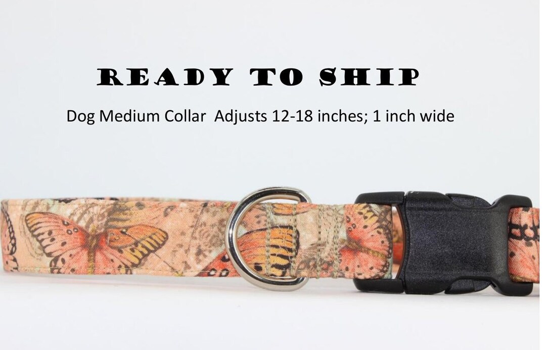 Dog Medium Collar, Monarch Butterfly Dog Collar, Moth Dog Collar ...