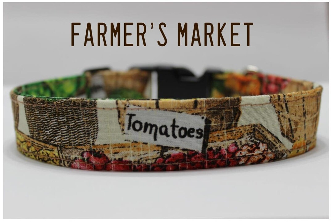 Rustic Potato Tomatoe Vegetable Dog Collar, Boho Fall/autumn Sunflower ...