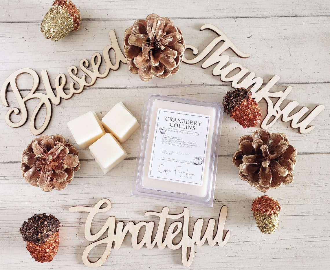 Apple Rind + Cinnamon • Fall Farmhouse Soy Wax Melts - Farmhouse Soy ...