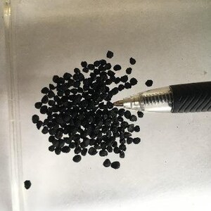 Allium Jesdianum | Ornamental Onion or Allium | Michael Hoog | 10 Seeds ...