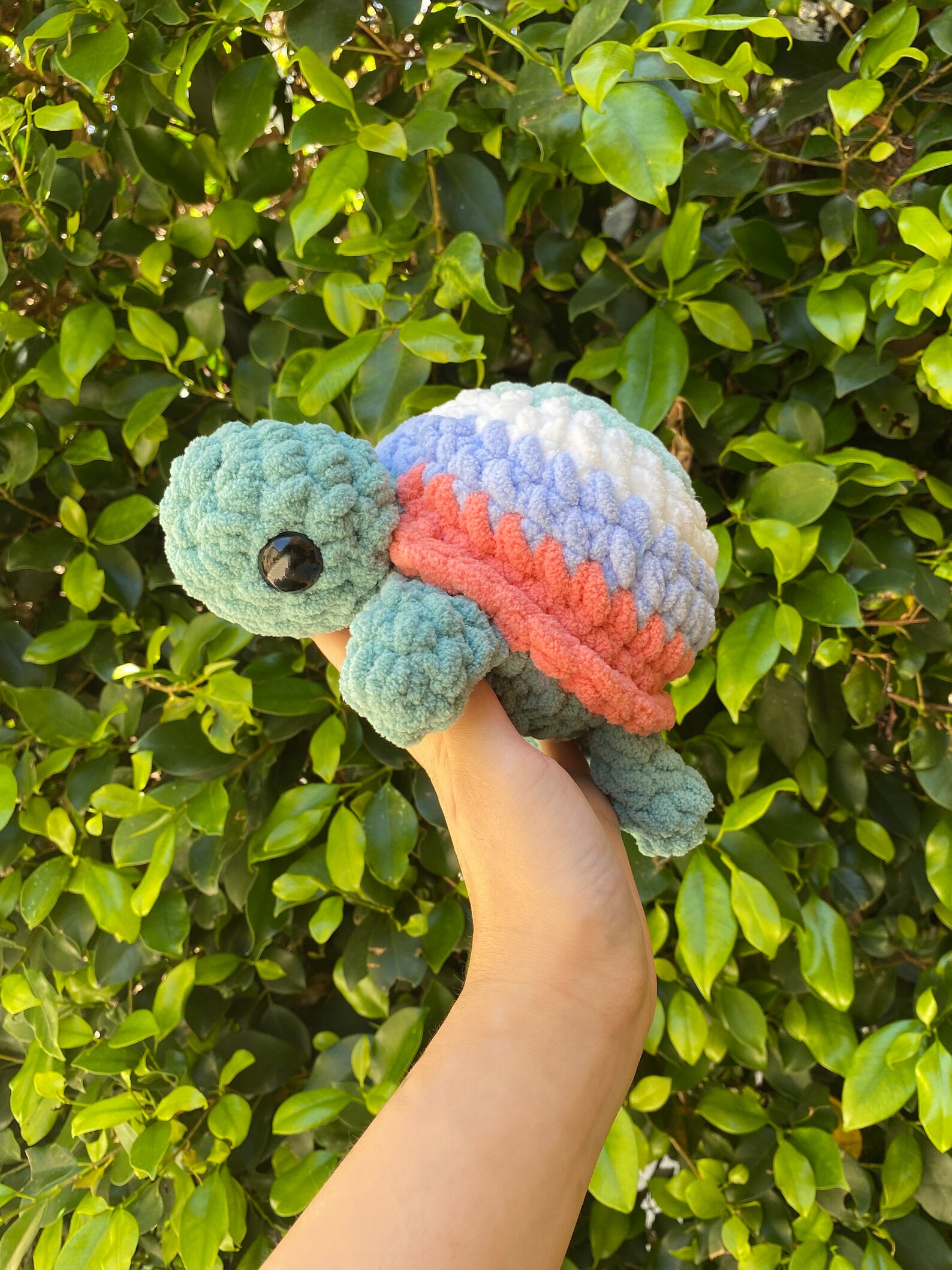 LGBTQ Pride Turtle - Etsy
