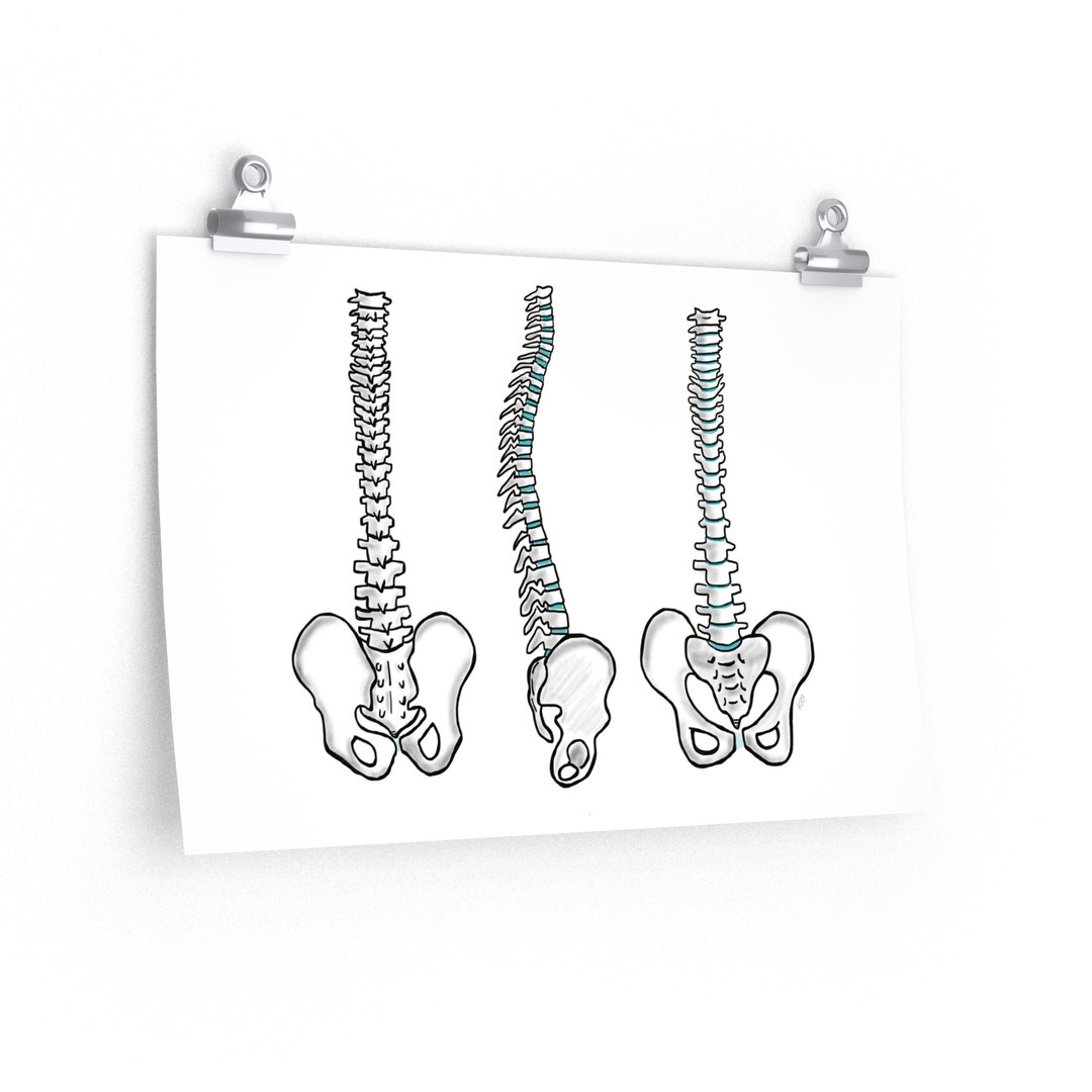 Hand-drawn Spine Poster - Etsy