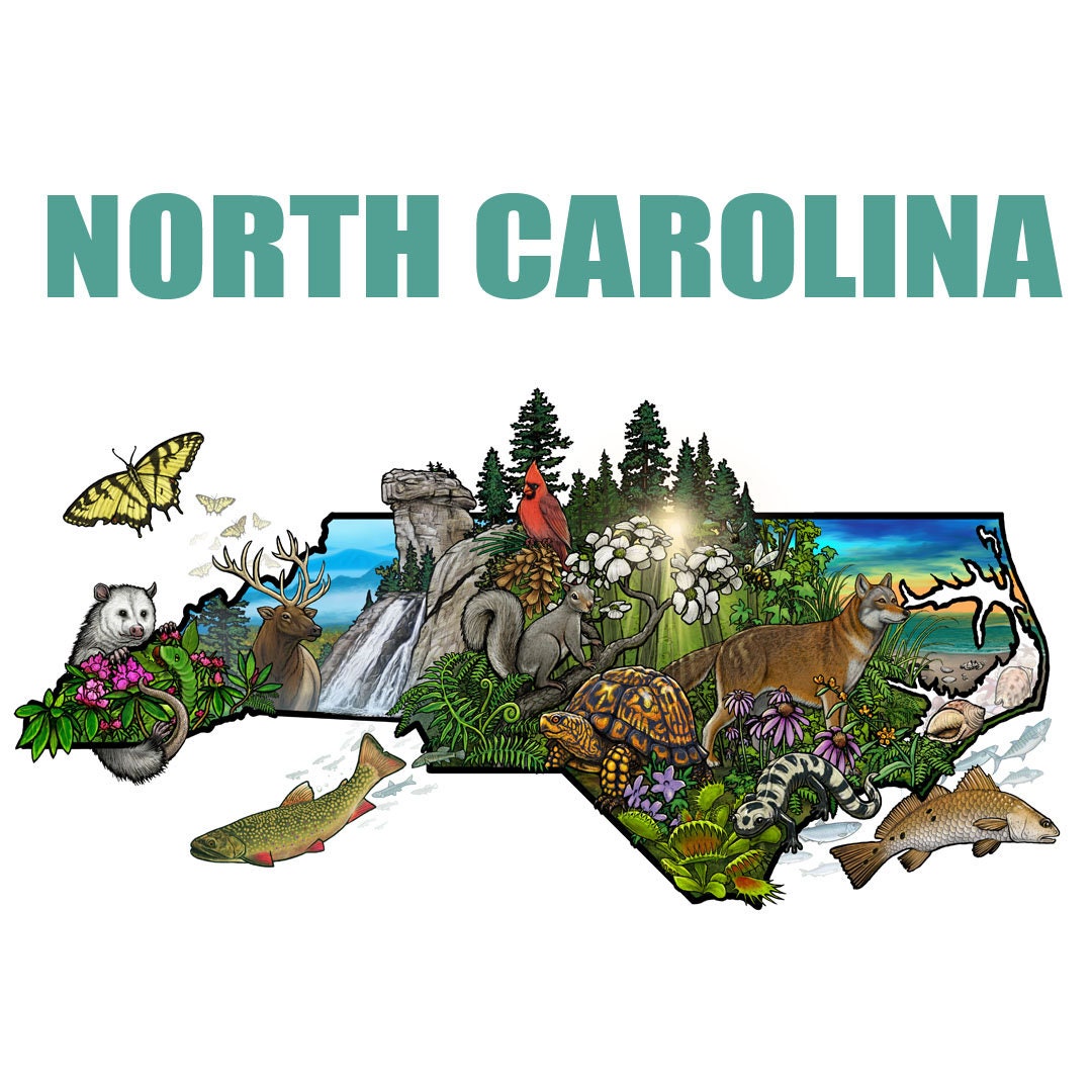 North Carolina Illustrated Nature Map - Etsy