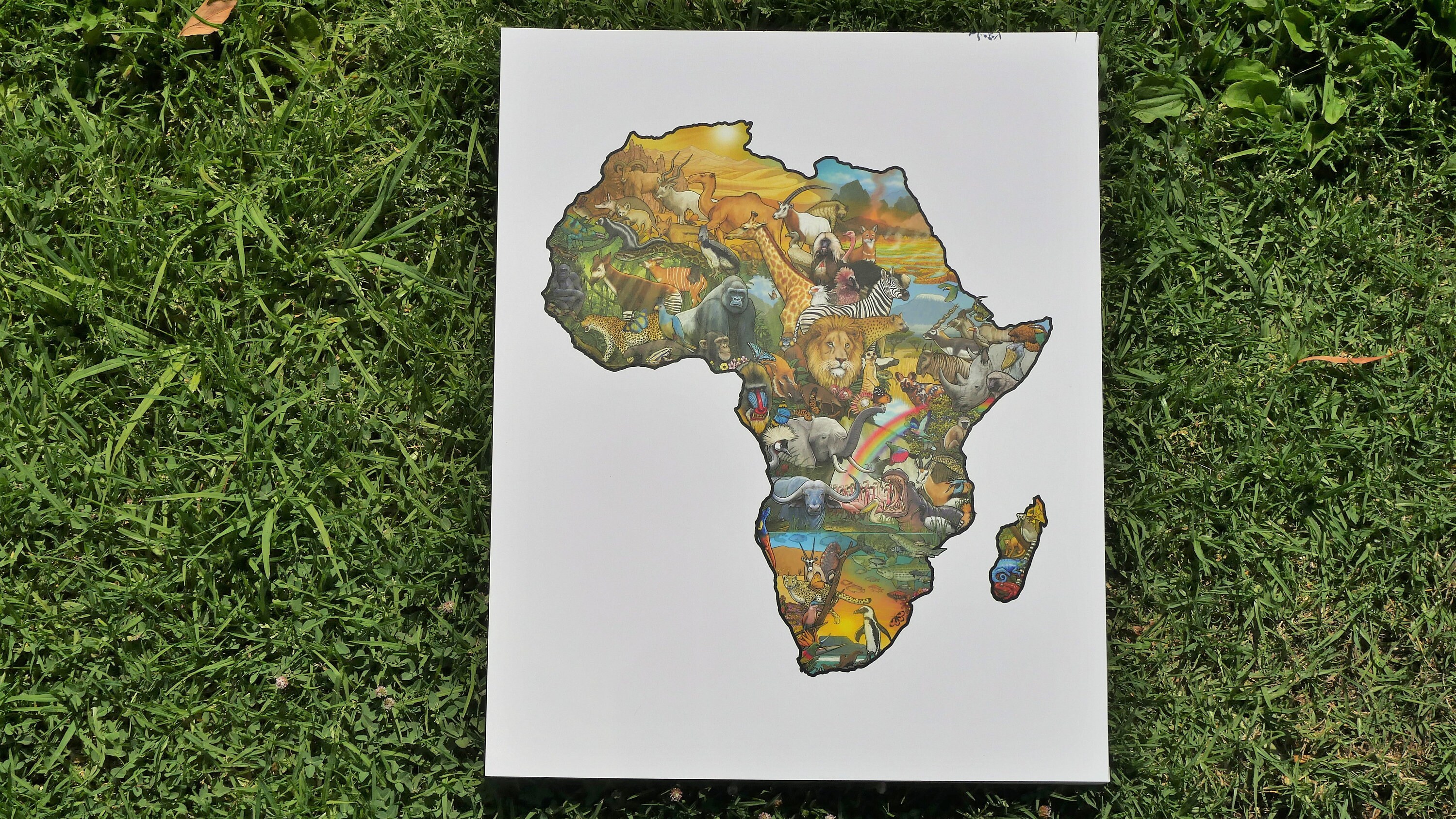 Africa Nature Illustration Map - Etsy