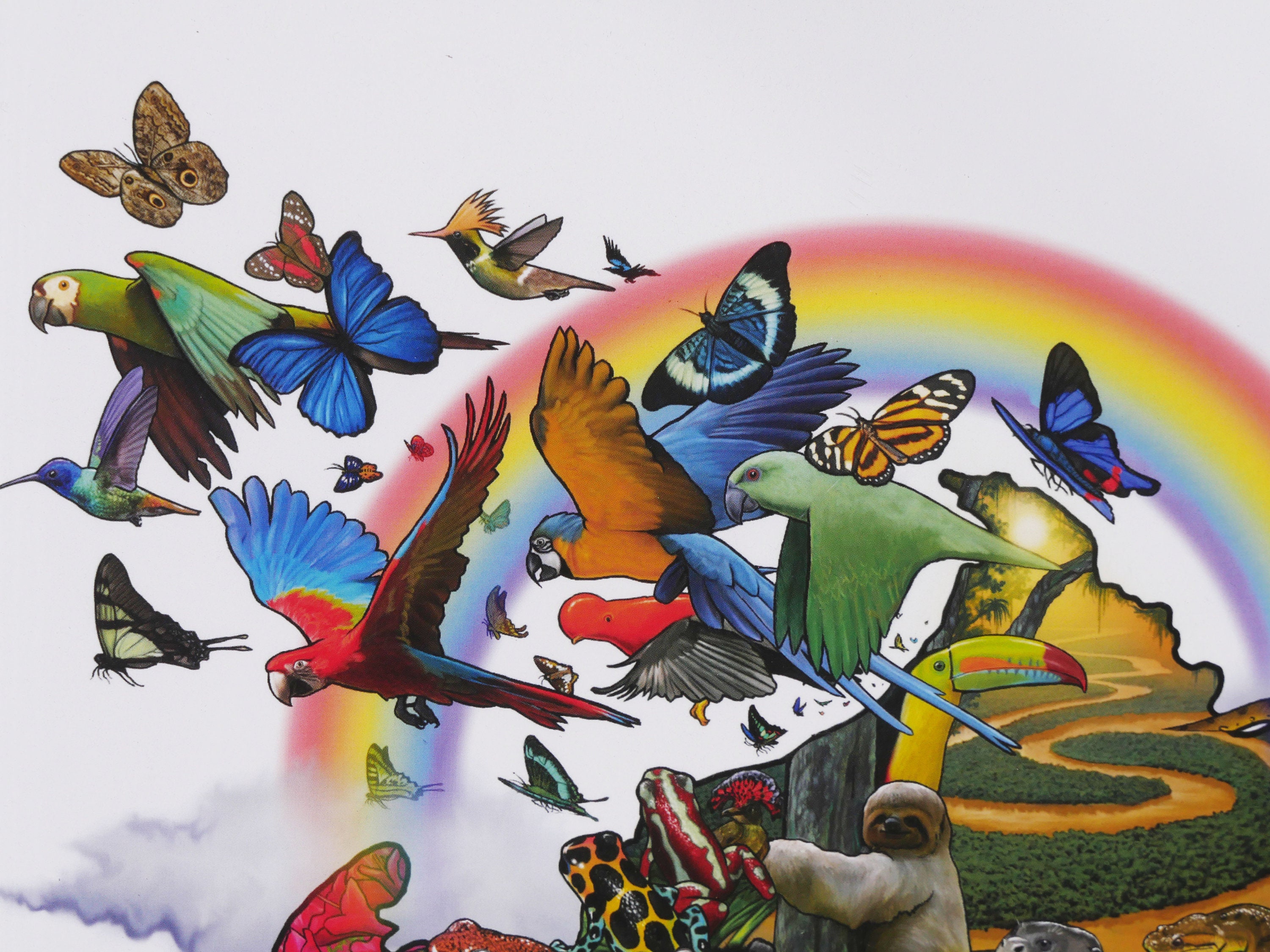 Peru Nature Illustration Map - Etsy