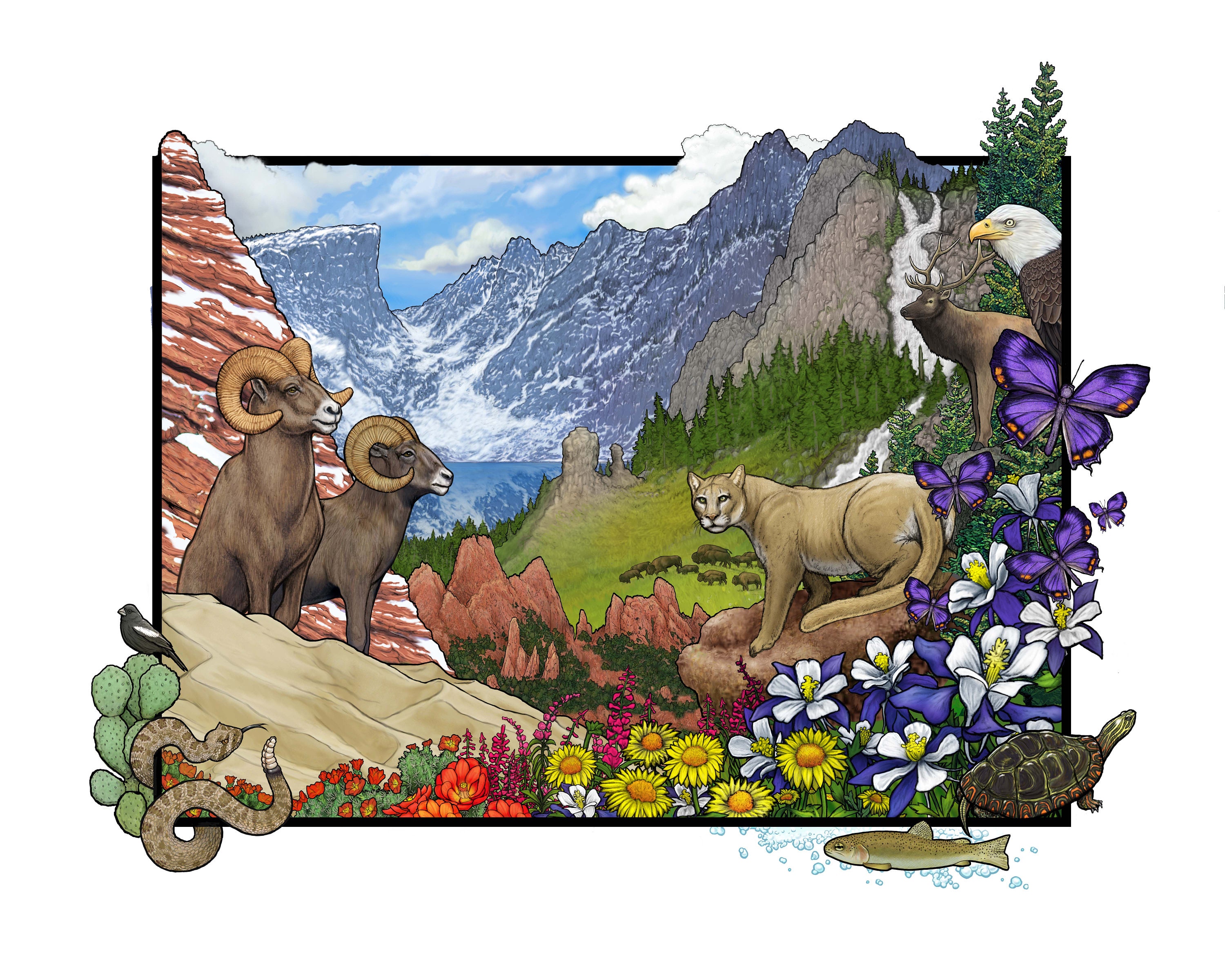 Colorado Nature Illustrated Map - Etsy