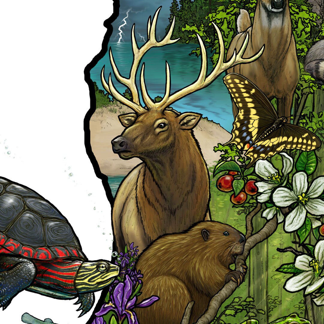 Michigan Illustrated Nature Map - Etsy