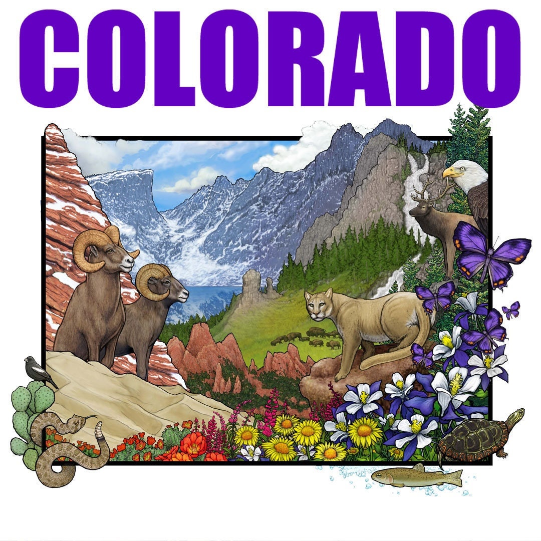Colorado Nature Illustrated Map - Etsy