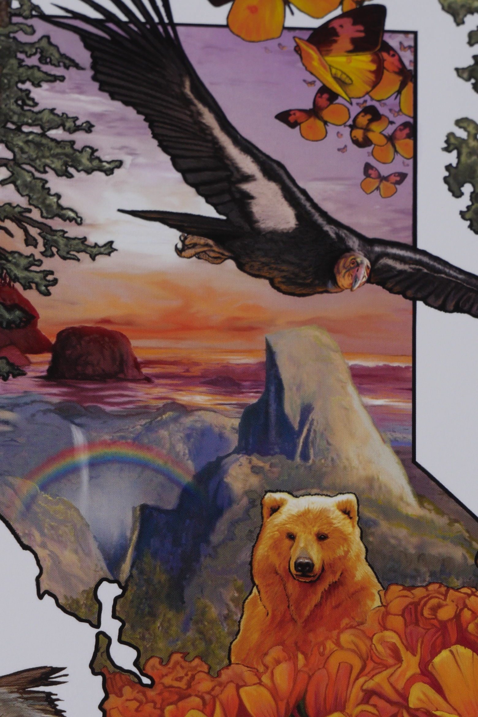 California Nature Illustration Map - Etsy