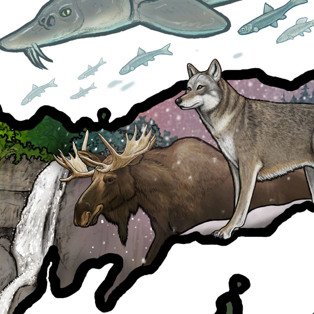 Michigan Illustrated Nature Map - Etsy