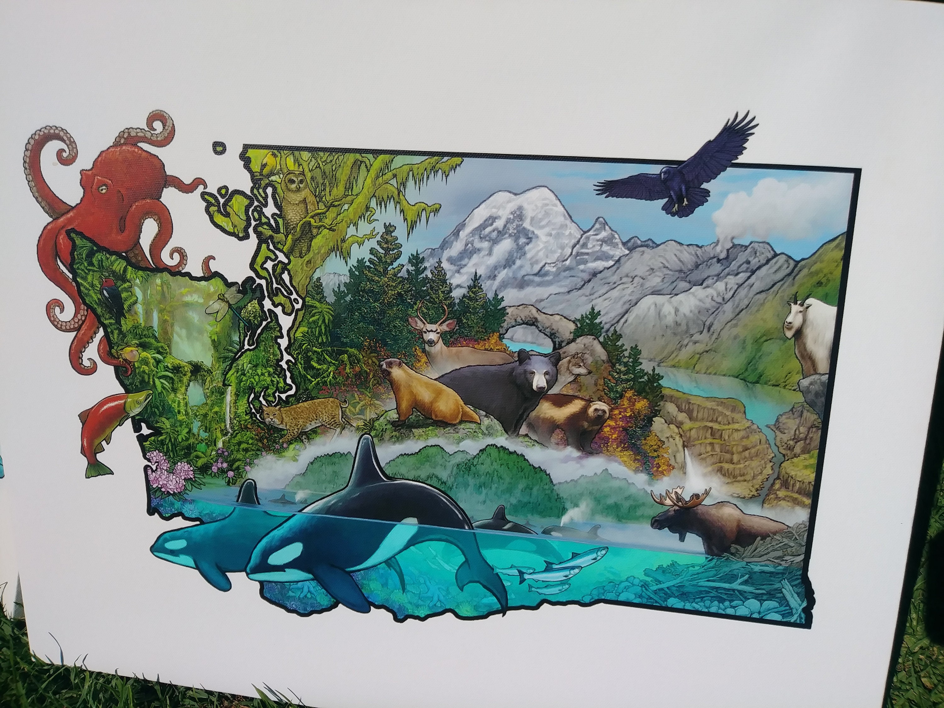 Washington Nature Illustrated Map - Etsy