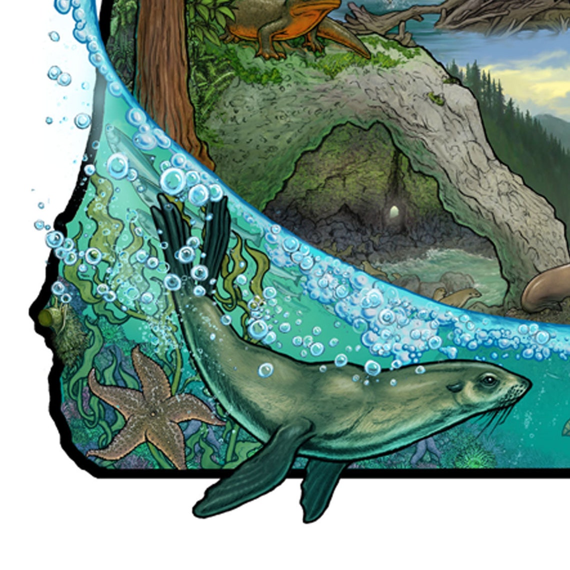 Oregon Illustrated Nature Map - Etsy